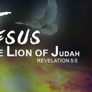 Contact – Ankur Narula